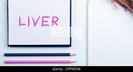 Conceptual display Liver. Word Written on Large lobed glandular organ ...