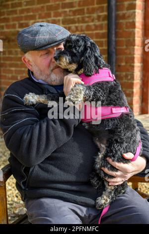 Dog in flat cap Stock Photo - Alamy