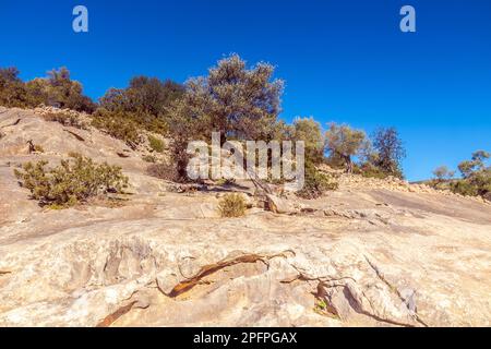 The Majestic Djebel Ousselat. A Limestone Mountain in the Tunisian ...