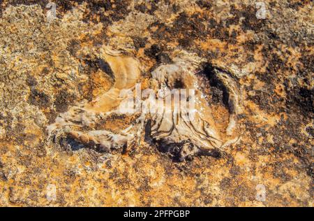 The Majestic Djebel Ousselat. A Limestone Mountain in the Tunisian ...
