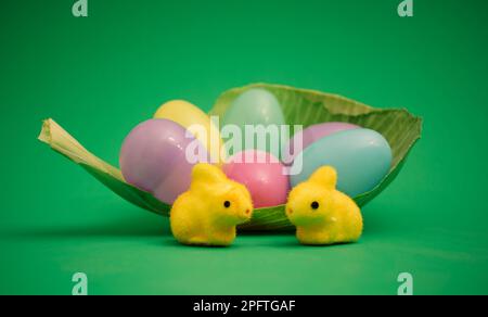 Easter Bunny in a cabbage leaf. Laying out the painted eggs. Concept ...
