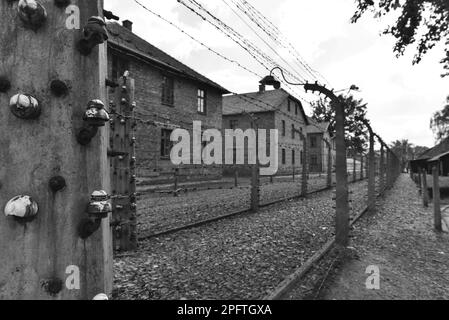 Barbed wire, camp building, Stammlager I, concentration camp, Auschwitz ...