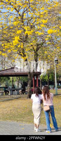 Beitun Xizi Park, Taichung - March 9, 2023 : Beside Xizi Park in Dakeng ...