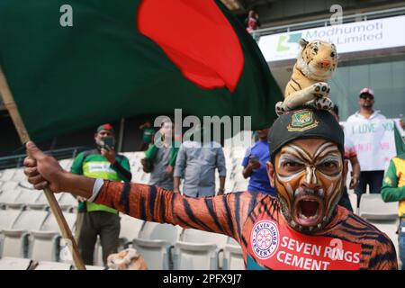 Shoaib Ali Bukhari, a die-hard fan of the Bangladesh Cricket who paints himself as a tiger and ...