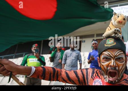 Shoaib Ali Bukhari, a die-hard fan of the Bangladesh Cricket who paints ...