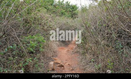 Hiking or trekking route to Avalabetta peak located in Chikaballapur ...