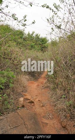 Hiking or trekking route to Avalabetta peak located in Chikaballapur ...