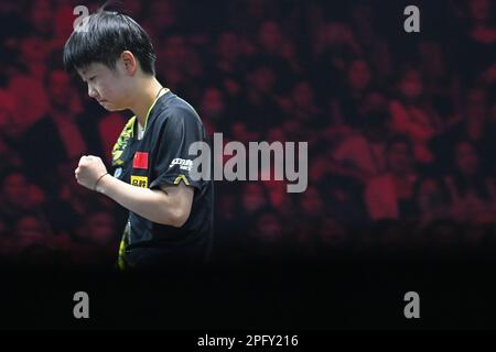 Singapore, Singapore. 19th Mar, 2023. Qian Tianyi (CHN) Table Tennis : WTT Singapore Smash 2023 ...