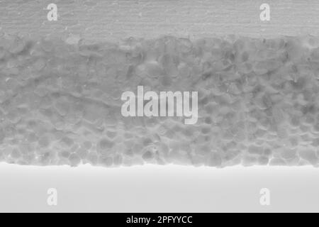 typical texture and surface of exp eps expanded polystyrene foam sheet ...