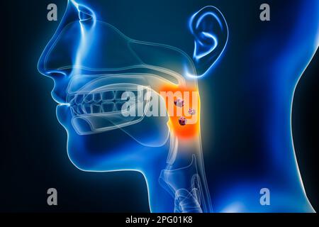 Xray lateral or profile view of the oropharynx 3D rendering ...