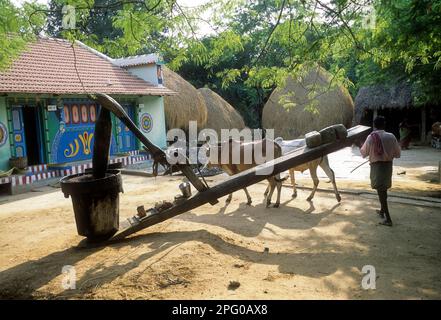 Sekku, traditional wooden oil extractor, Tamil Nadu, India, Asia Stock ...