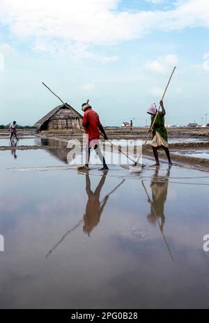 Workers at Salt Pan in Thoothukudi Tuticorin, Tamil Nadu, South India ...