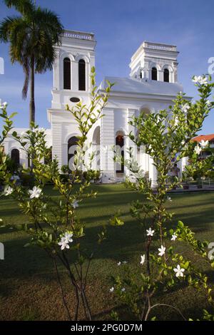 Church of the Assumption, Penang, Malaysia Stock Photo - Alamy