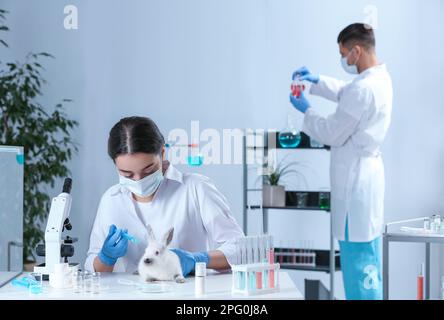 Scientist with syringe and rabbit in chemical laboratory. Animal ...