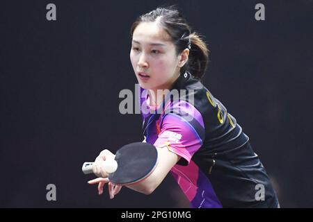 Singapore, Singapore. 19th Mar, 2023. Qian Tianyi (CHN) Table Tennis : WTT Singapore Smash 2023 ...