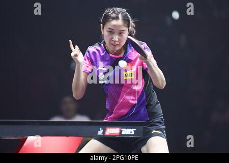 Singapore, Singapore. 19th Mar, 2023. Qian Tianyi (CHN) Table Tennis : WTT Singapore Smash 2023 ...