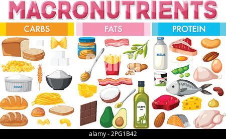 Macronutrients diagram with food ingredients illustration Stock Vector ...