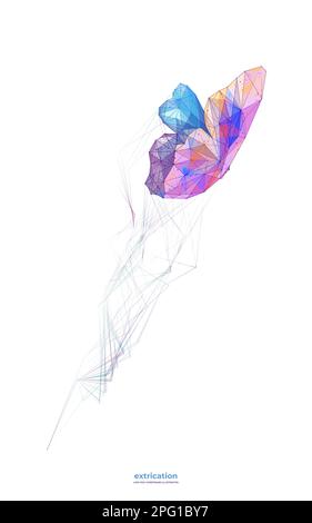 pattern abstract design ornament wallpaper mandala Stock Vector Image ...