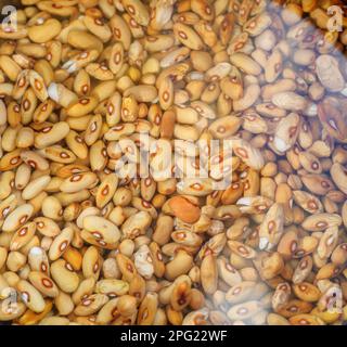 Beans are soaked in a pot for further cooking. Cooking, healthy ...