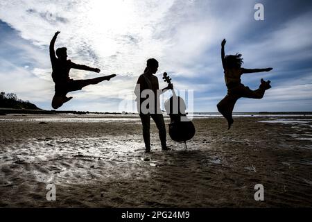silhouetted dancers and cellist on Cape Cod beach Stock Photo - Alamy