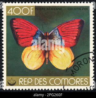 A closeup of a colotis butterfly on a green leaf, in a vertical shot ...