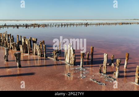 Wooden obstacles in the sea of Jarilgach island, Ukraine. At daytime ...