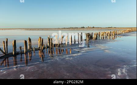 Wooden obstacles in the sea of Jarilgach island, Ukraine. At daytime ...