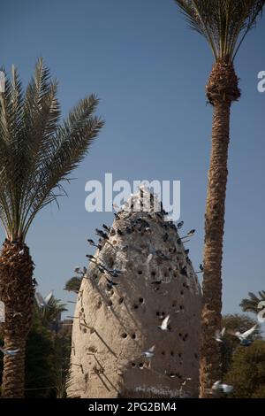 Pigeon Tower, Egypt Stock Photo - Alamy
