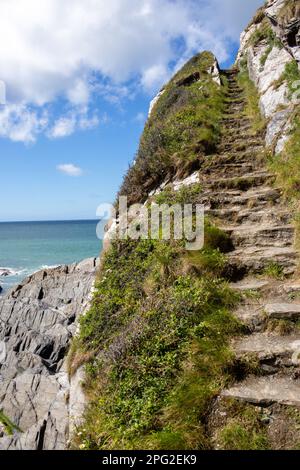 Steps cut into cliff at Ilfracombe, North Devon, UK Stock Photo - Alamy
