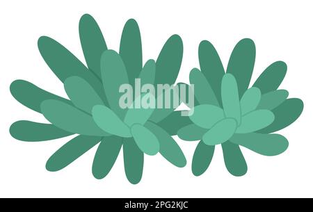 Vector green sea anemone icon. Under the sea illustration with cute ...