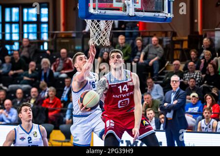 ZWOLLE, NETHERLANDS - MARCH 19: Coen Stolk of Landstede Hammers Zwolle ...