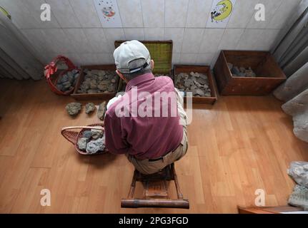 (230320) -- CHENGDU, March 20, 2023 (Xinhua) -- Wu Xichun observes a ...