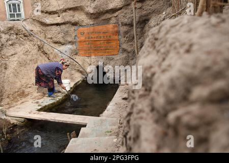 230320 -- URUMQI, March 20, 2023 -- A farmer pours water fetched from ...