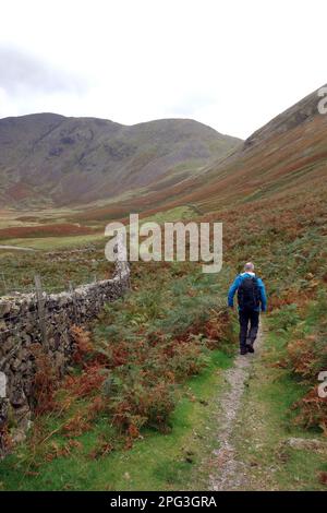 The Mosedale Horseshoe Wainwrights Scoat Fell & Pillar from the Black ...