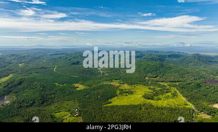 Aerial view of Borneo island covered with rainforest and sandy beach ...