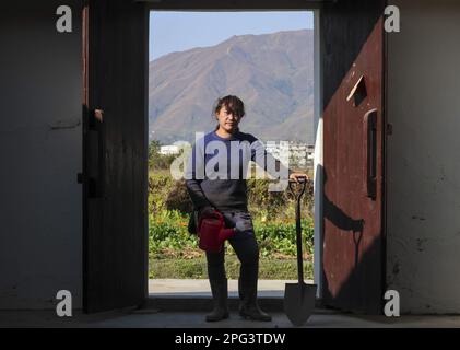 Artist Natalie Lo Lai-lai, at KIDSCLUB farm in Shek Kong. 24JAN23 SCMP ...