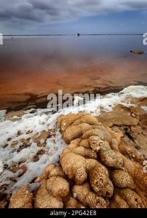 Salt and sluge build up on rocks along the salt evaporation pans of the ...