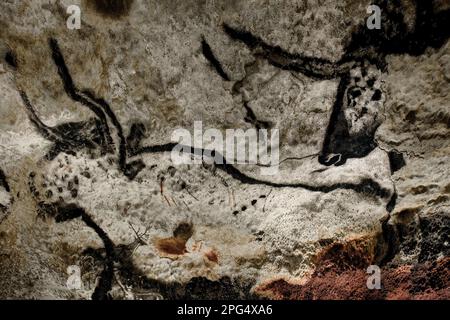 The caves of Lascaux are caves decorated with Paleolithic paintings ...