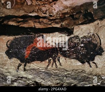 The caves of Lascaux are caves decorated with Paleolithic paintings ...