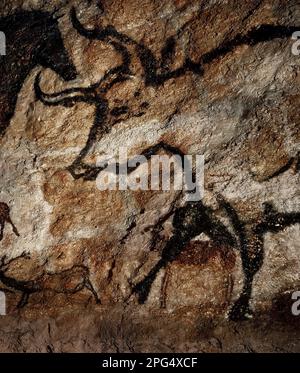 The caves of Lascaux are caves decorated with Paleolithic paintings ...