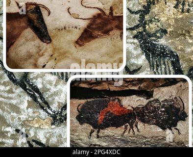 The caves of Lascaux are caves decorated with Paleolithic paintings ...