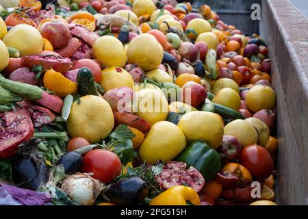 Expired Organic bio waste. Biodegradable waste decomposing, a mix of ...