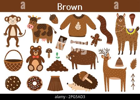 Color objects bundle. Primary colors big collection with flash cards in ...