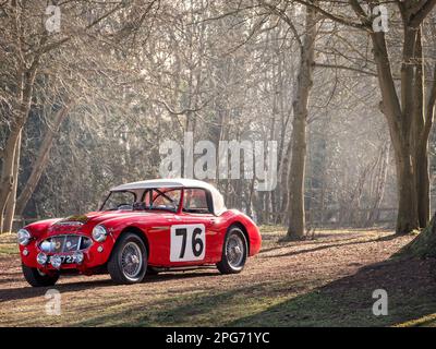 1960 Austin Healey MK1 3000 Works Rally car (Pat Moss Ann Wisdom Stock ...