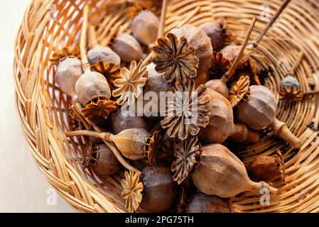 Closeup photography of many poppy heads in a wicker basket Stock Photo ...