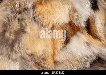 Close up real brown bear fur texture Stock Photo - Alamy