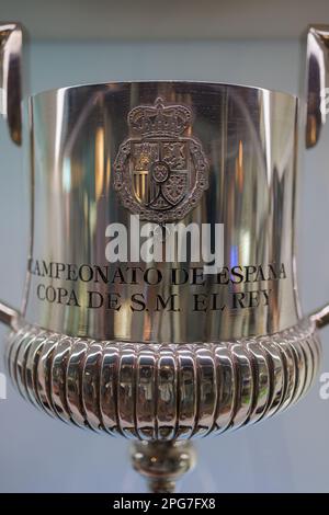 Cup Symbolizing Victory in a Competition for Barcelona Football Club ...