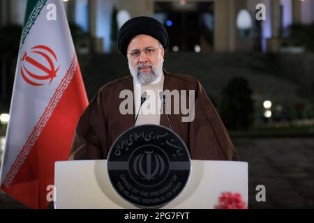 In this Mar. 20, 2023 handout photo provided by the ALPACI - France ...