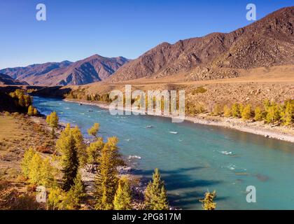 Katun river in Altai flows between the mountains covered with greenery ...