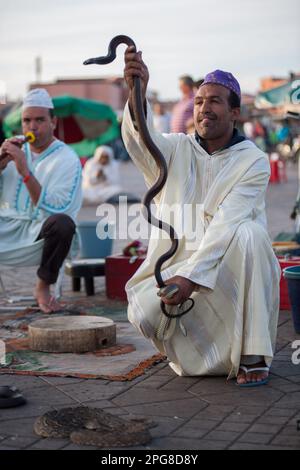 incantarori di serpenti nella piazza jamaa el fna, marrakech, marocco ...